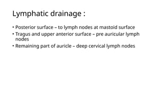 Anatomy of external ear.pptx information of ent | PPTX