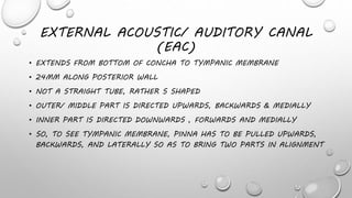 Anatomy of external ear -- ent | PPTX