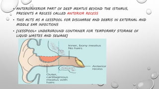 Anatomy of external ear -- ent | PPTX