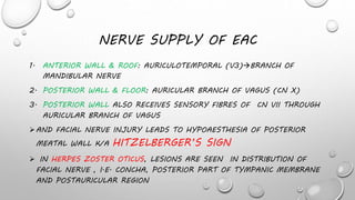 Anatomy of external ear -- ent | PPTX