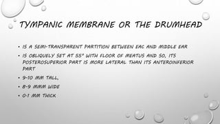 Anatomy of external ear -- ent | PPTX