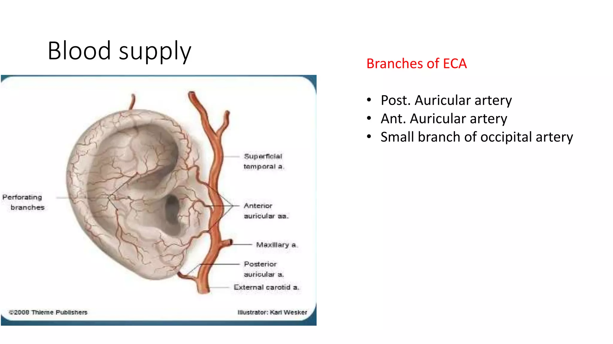 anatomy of external ear ^0 middle ear.pptx