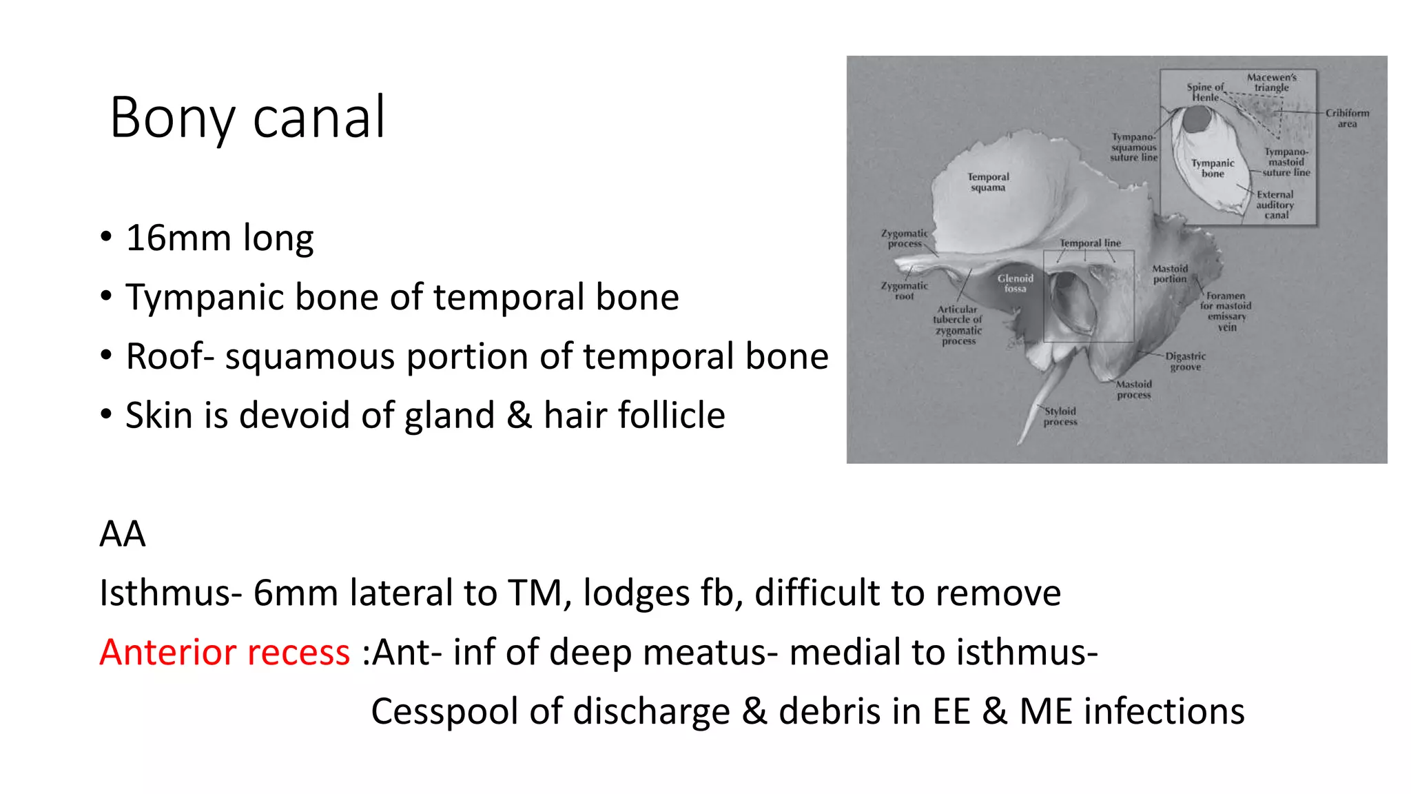 anatomy of external ear ^0 middle ear.pptx