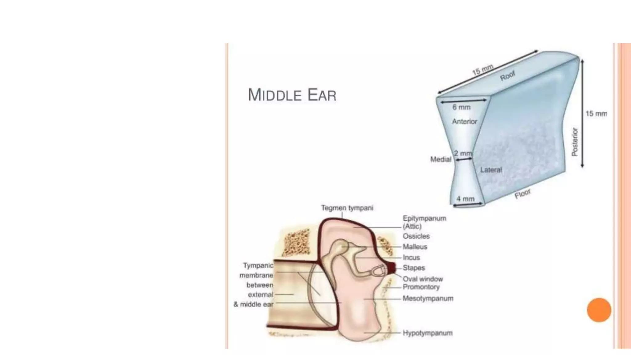 anatomy of external ear ^0 middle ear.pptx