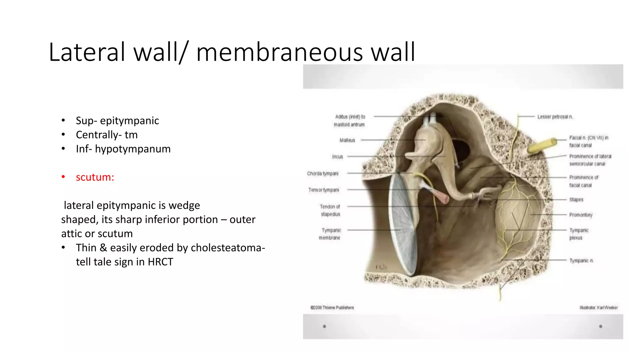 anatomy of external ear ^0 middle ear.pptx