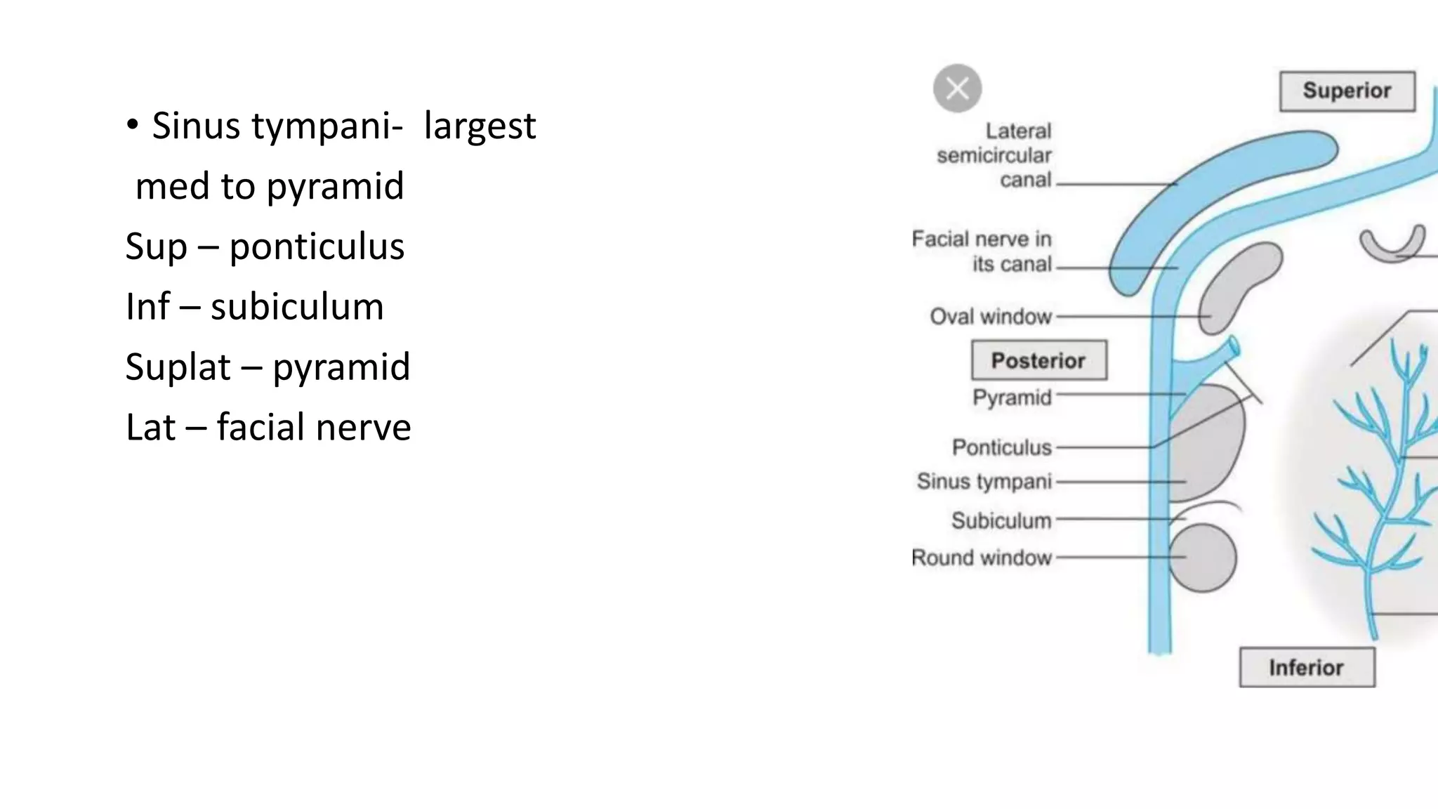 anatomy of external ear ^0 middle ear.pptx