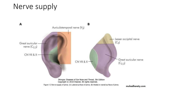 anatomy of external ear ^0 middle ear.pptx
