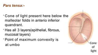 ANATOMY OF EXTERNAL EAR AND MIDDLE EAR.pptx
