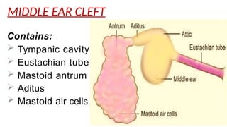 ANATOMY OF EXTERNAL EAR AND MIDDLE EAR.pptx