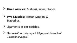 ANATOMY OF EXTERNAL EAR AND MIDDLE EAR.pptx