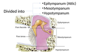 ANATOMY OF EXTERNAL EAR AND MIDDLE EAR.pptx