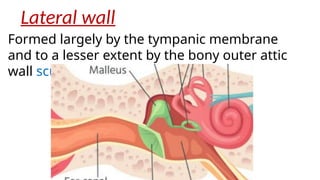 ANATOMY OF EXTERNAL EAR AND MIDDLE EAR.pptx