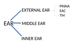 ANATOMY OF EXTERNAL EAR AND MIDDLE EAR.pptx