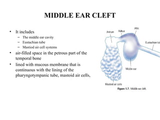 Anatomy of External ear and Middle ear cleft.pptx