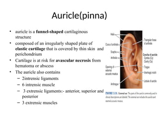 Anatomy of External ear and Middle ear cleft.pptx