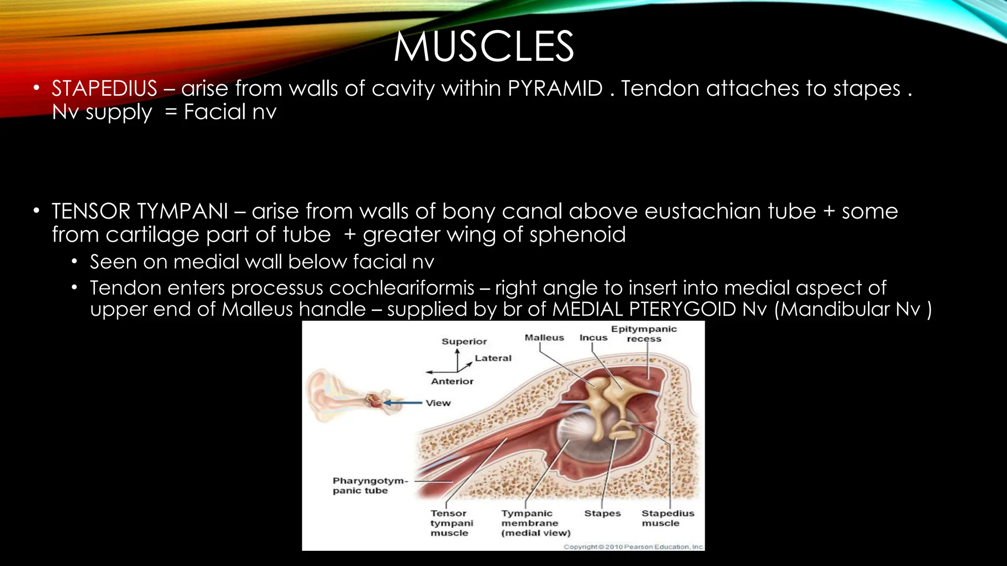 ANATOMY OF EXTERNAL EAR & MIDDLE EAR.pptx