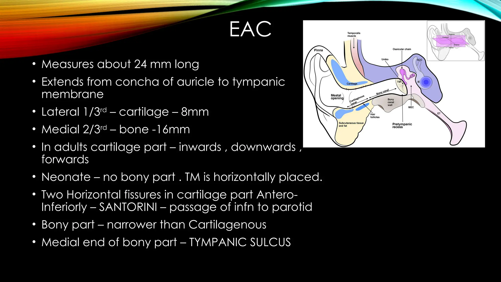 ANATOMY OF EXTERNAL EAR & MIDDLE EAR.pptx