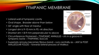 ANATOMY OF EXTERNAL EAR & MIDDLE EAR.pptx