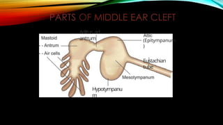 ANATOMY OF EXTERNAL EAR & MIDDLE EAR.pptx
