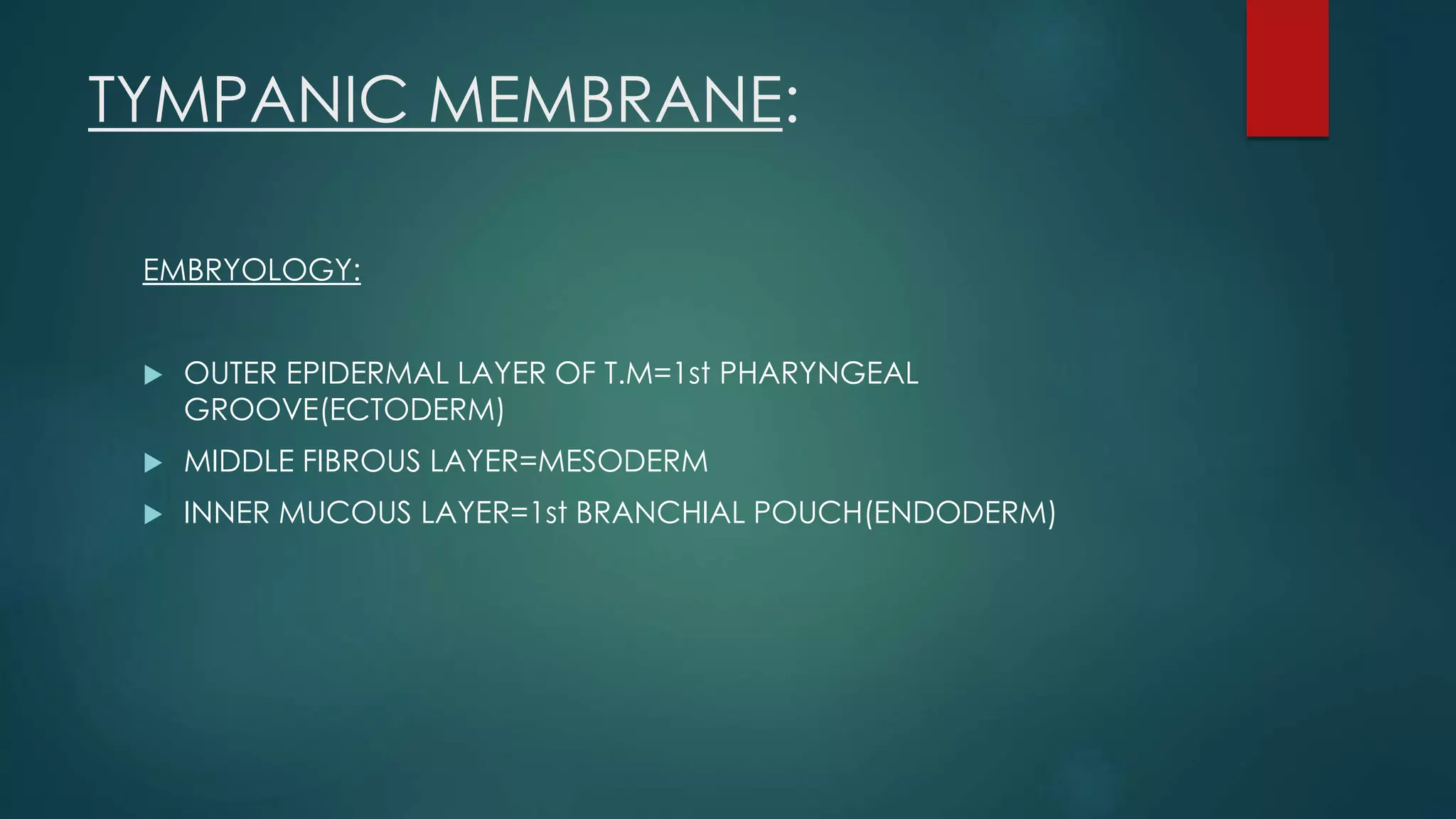 Anatomy of external n middle ear | PPTX