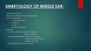 Anatomy of external n middle ear | PPT