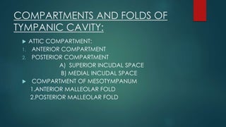 Anatomy of external n middle ear | PPT