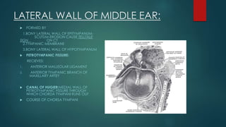 Anatomy of external n middle ear | PPT