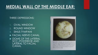 Anatomy of external n middle ear | PPT