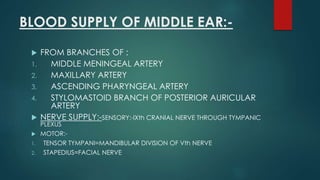 Anatomy of external n middle ear | PPT