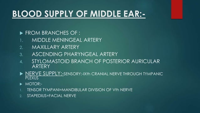 Anatomy of external n middle ear | PPT