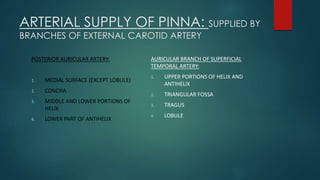 Anatomy of external n middle ear | PPT