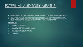 Anatomy of external n middle ear | PPT