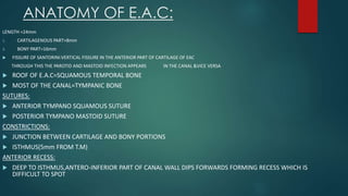 Anatomy of external n middle ear | PPTX