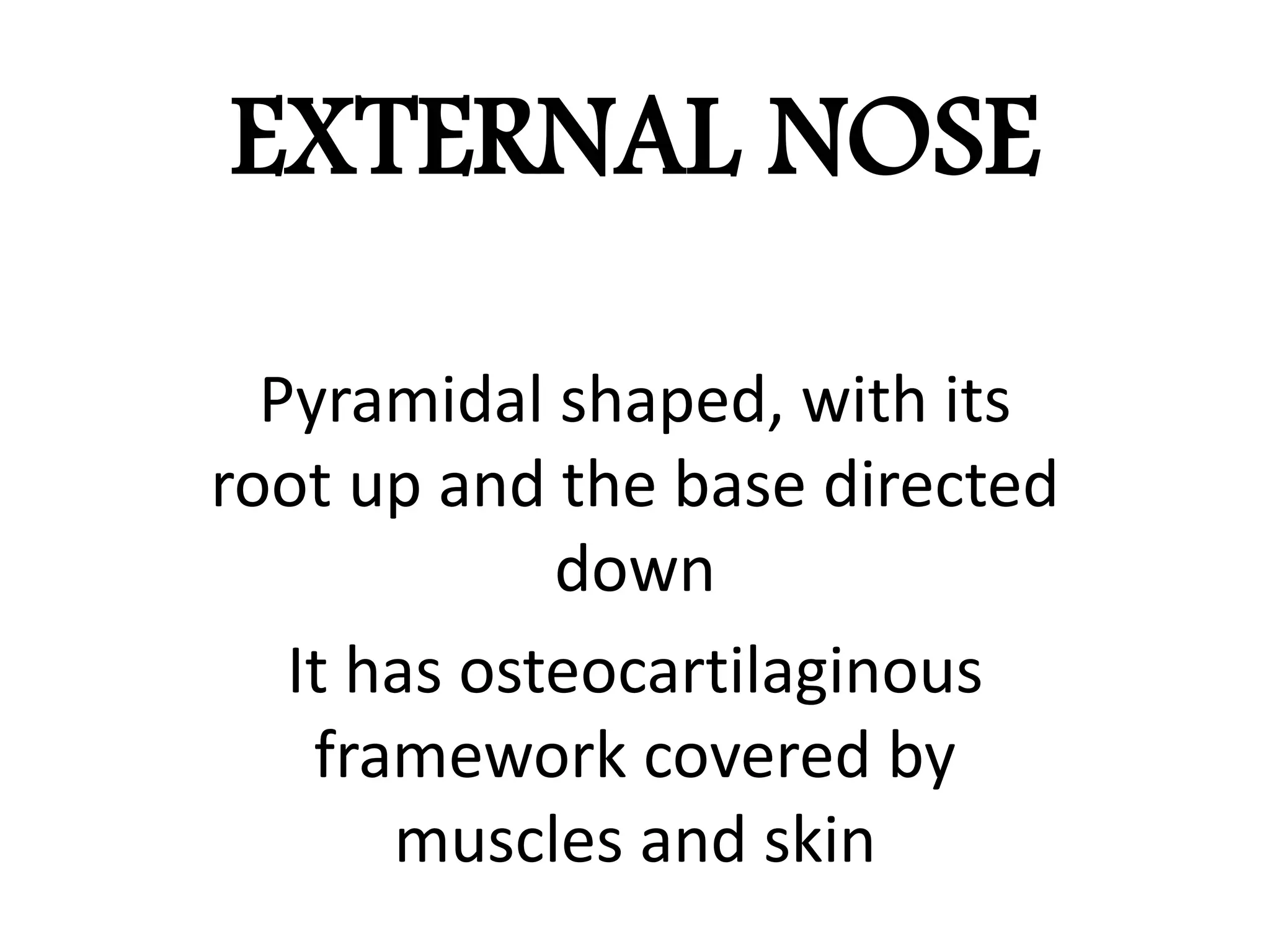 Anatomy of external nose by av sharma | PPTX