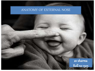 Anatomy of external nose by av sharma | PPTX
