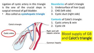 Cystohepatic Triangle