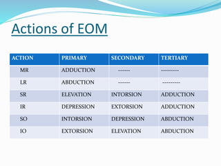 Anatomy of extraocular muscles and ocular motility | PPT