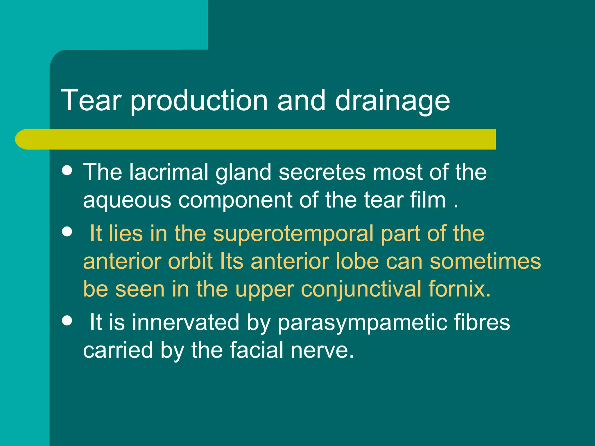 Anatomy of eye | PDF