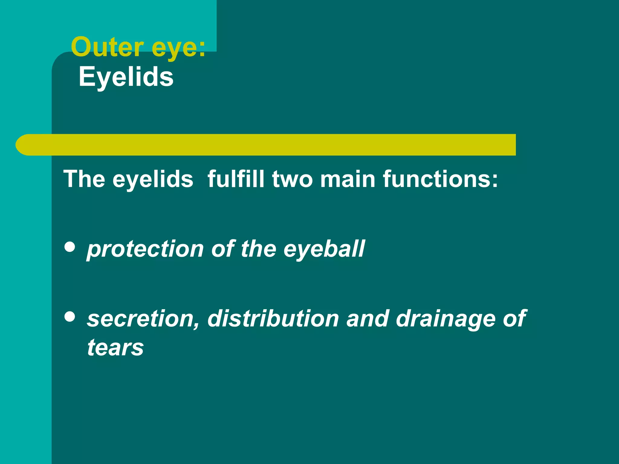 Anatomy of eye | PDF