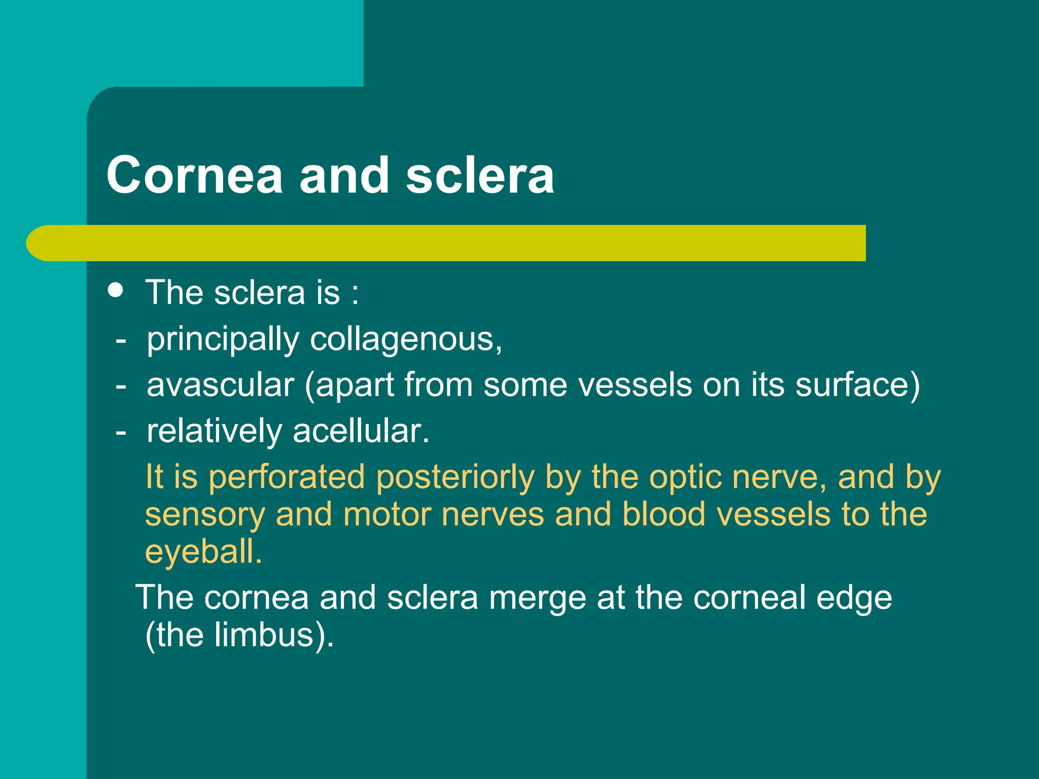 Anatomy of eye | PPT