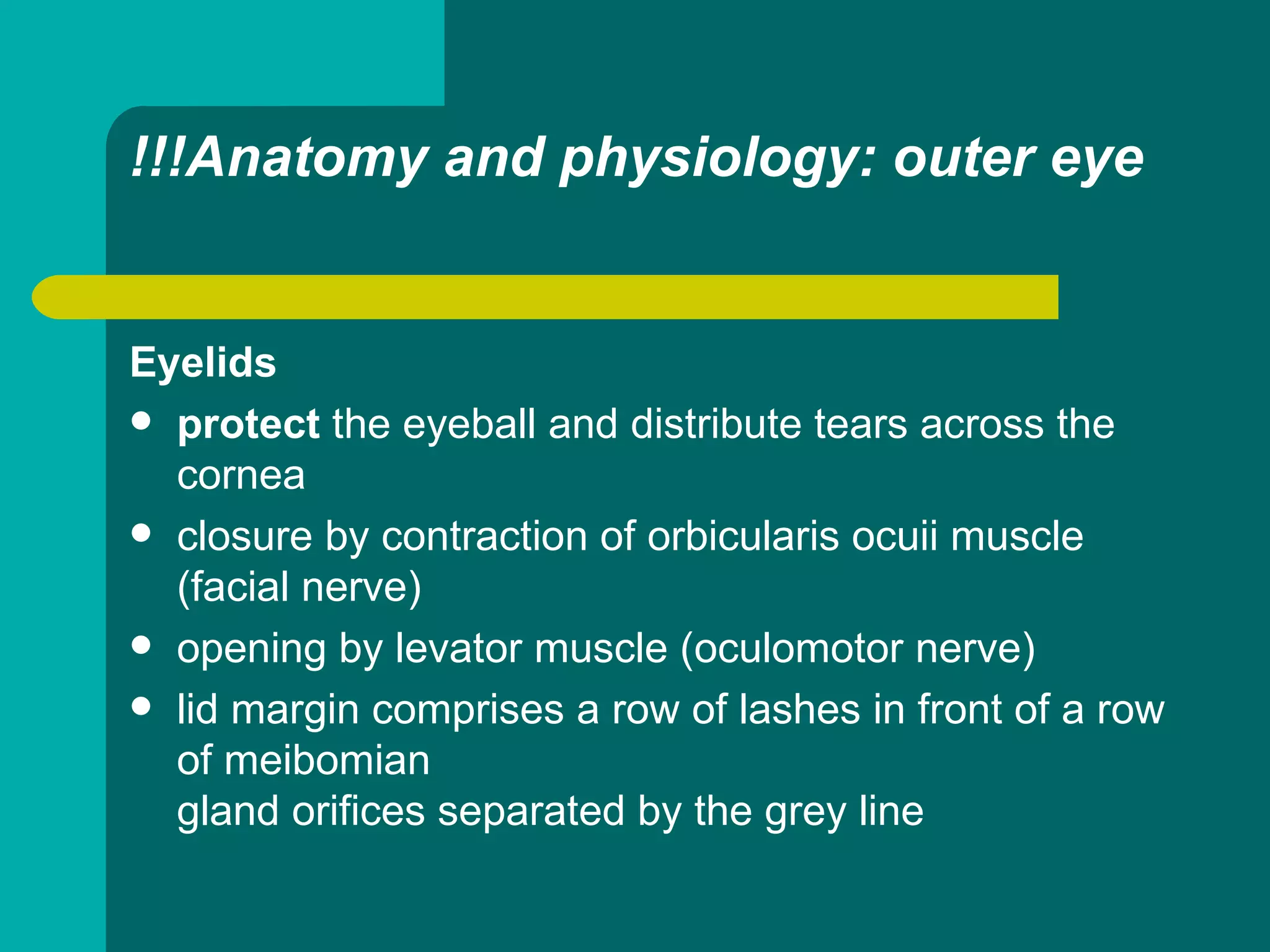 Anatomy of eye | PPT