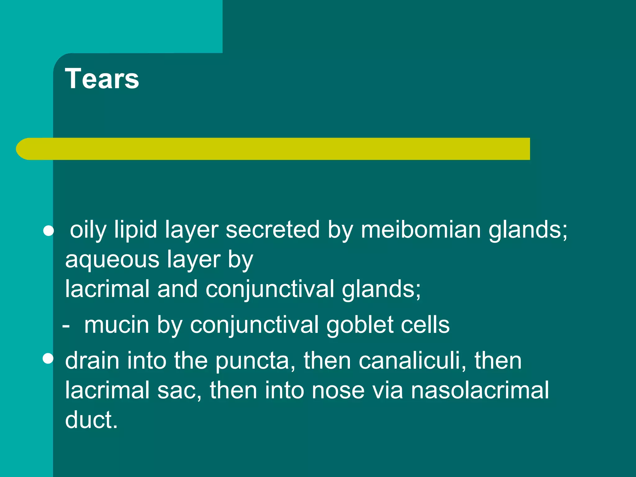 Anatomy of eye | PPT
