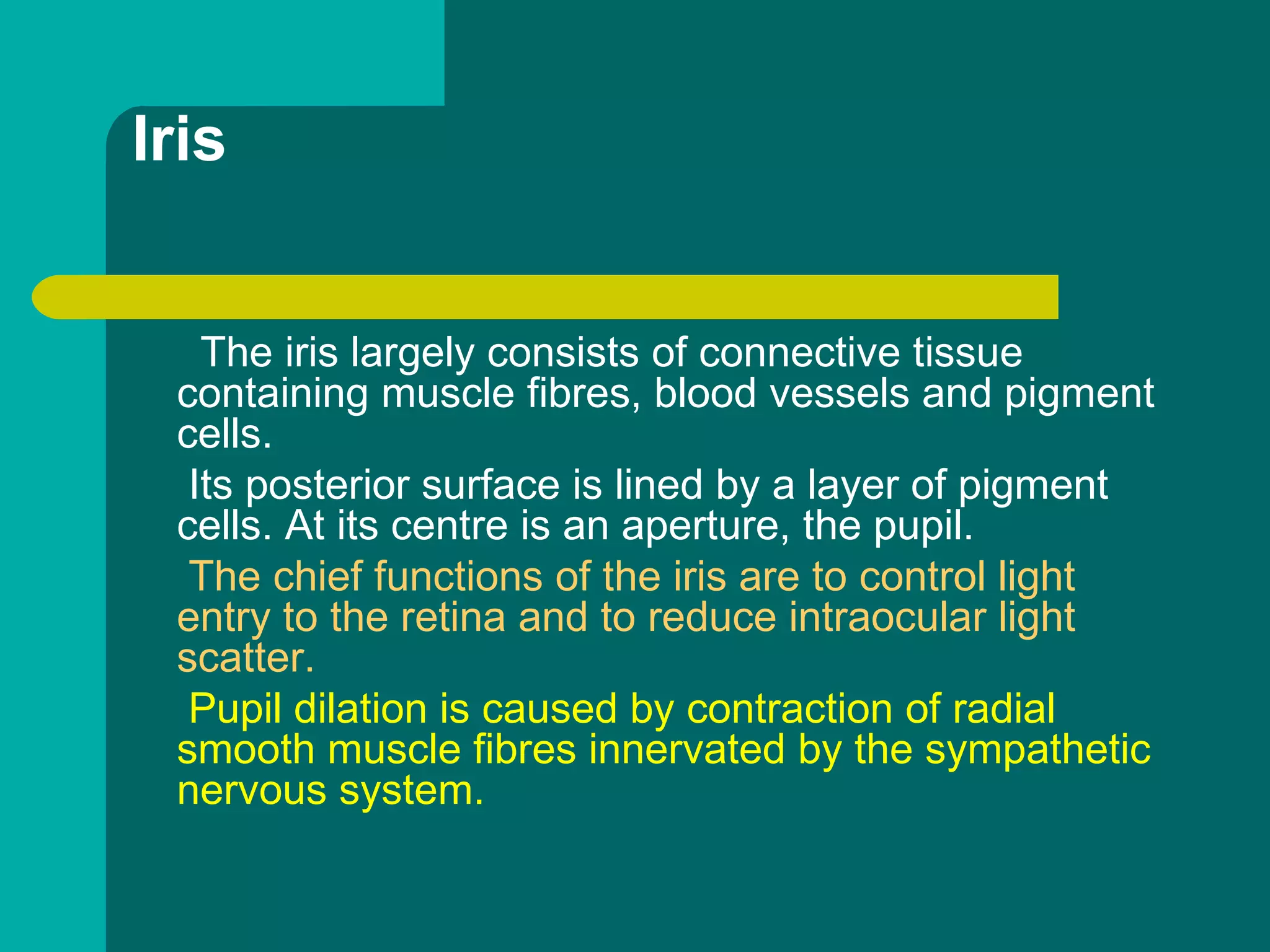 Anatomy of eye | PPT