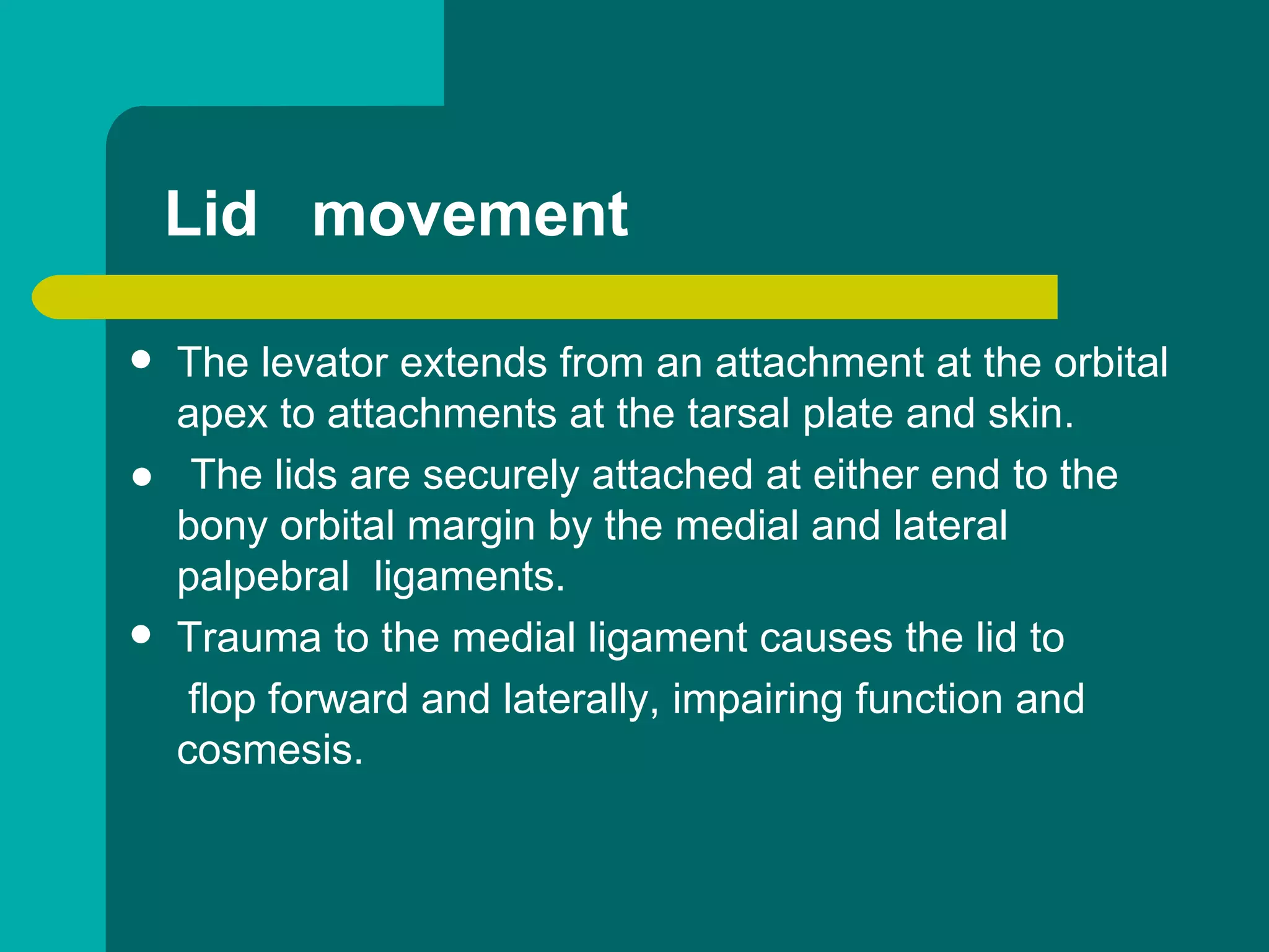 Anatomy of eye | PPT