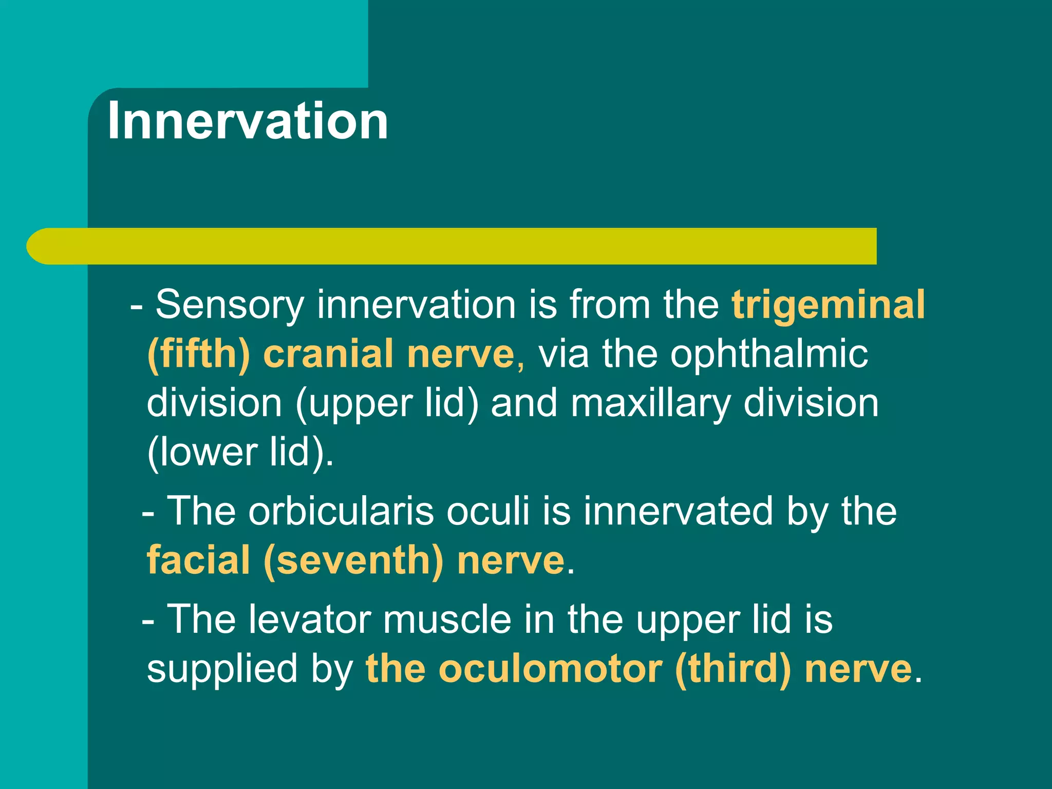 Anatomy of eye | PPT