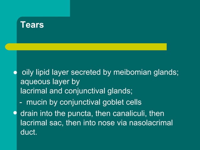 Anatomy of eye | PPT | Ear, Nose and Throat Conditions | Diseases and ...
