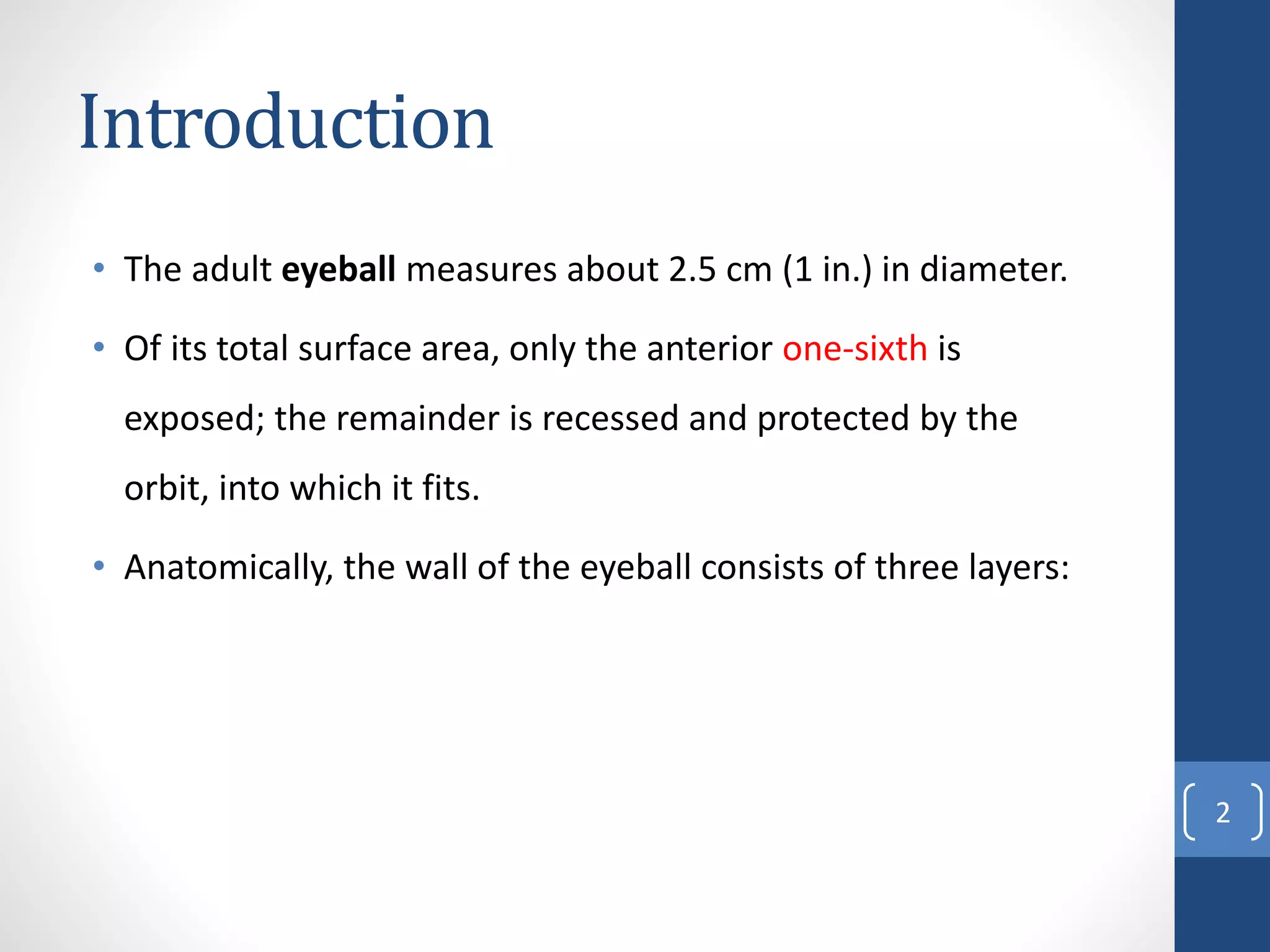 Anatomy of eye | PPTX