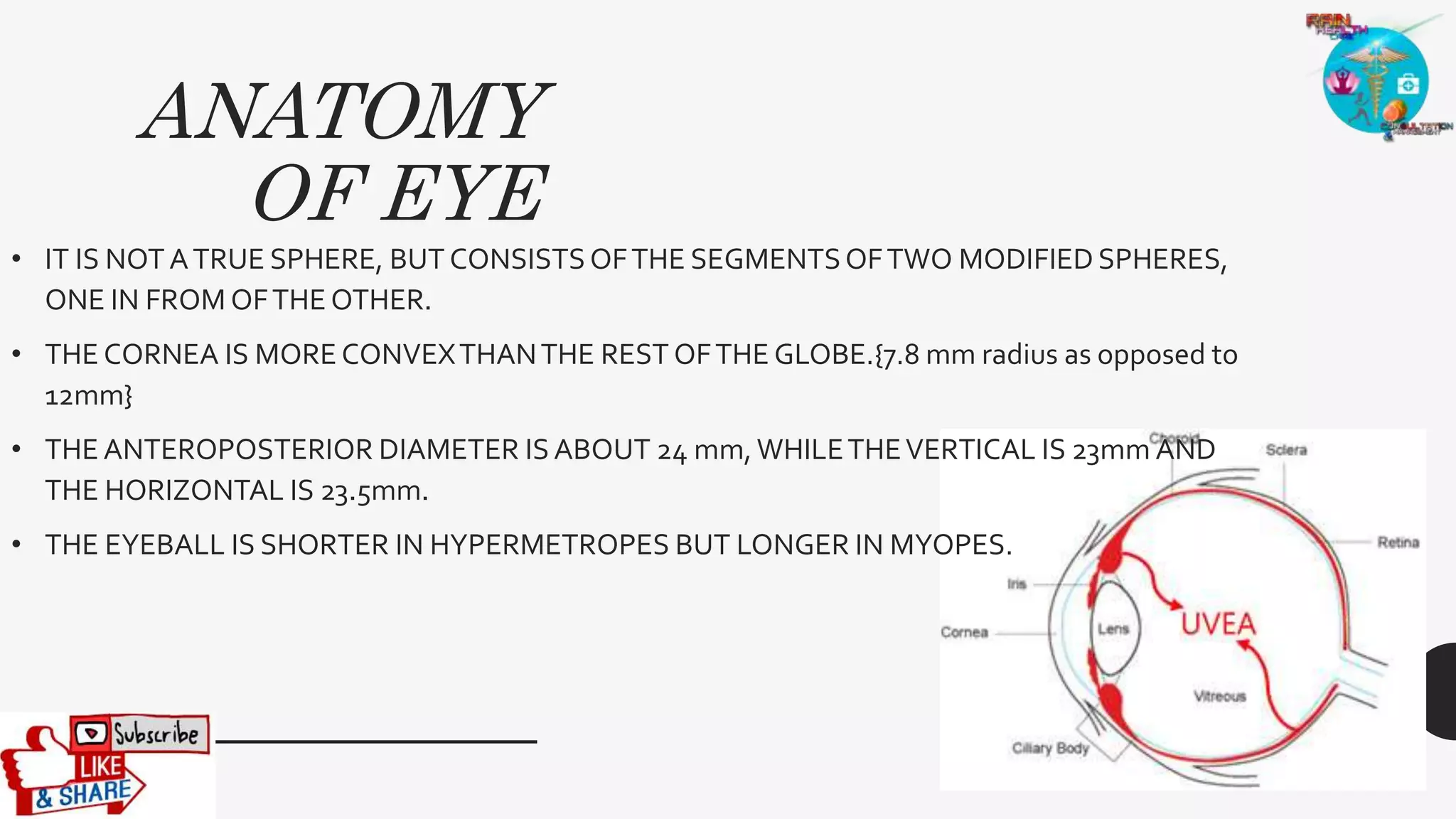 Anatomy of eye | PPT