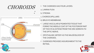 Anatomy of eye | PPT