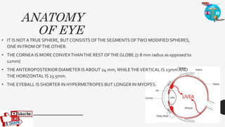 Anatomy of eye | PPT